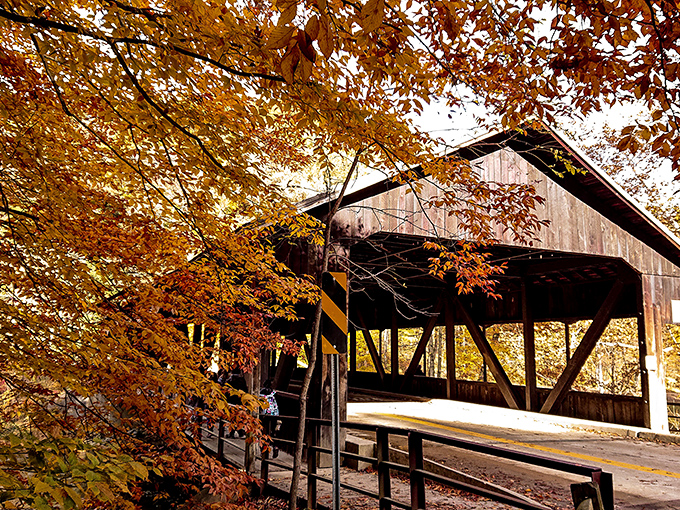 Fall transforms this covered bridge into a scene so picturesque it feels like you're walking through a painting rather than Ohio.