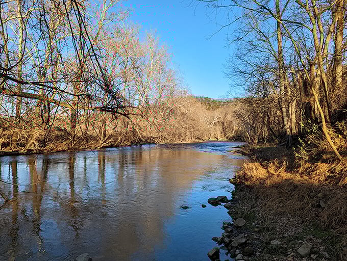 The changing seasons transform the river into a serene painting. No filter needed when Mother Nature handles the lighting design herself.