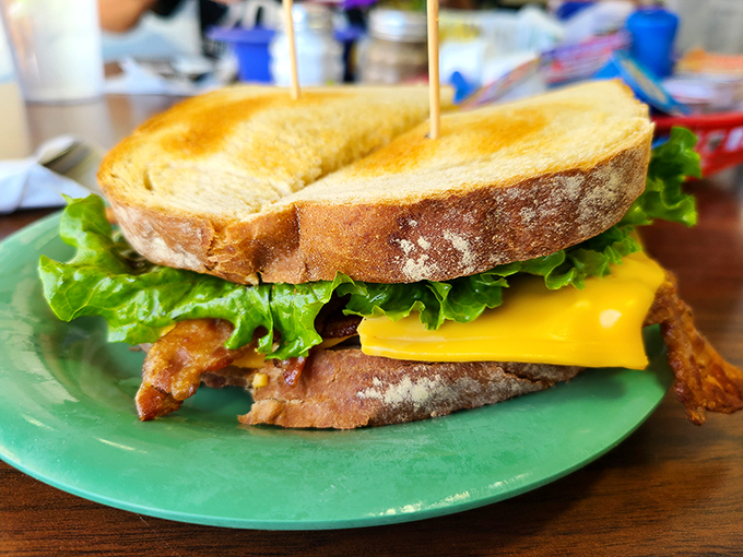 This BLT doesn’t need filters or fancy descriptions—just look at that architectural marvel of crispy bacon, garden-fresh lettuce, and toast that's achieved golden perfection.