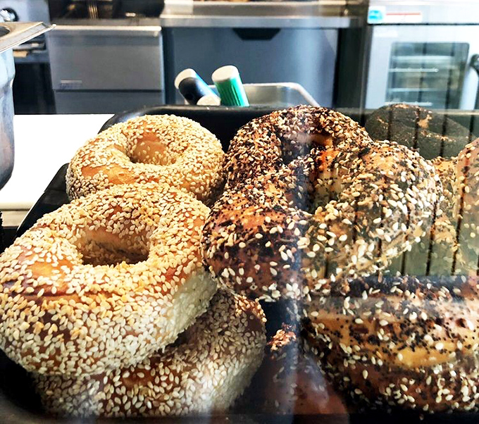 These aren't just bagels&mdash;they're edible works of art. Hand-rolled, boiled, and baked to that perfect balance of chewy interior and crackling crust that makes bagel lovers weak in the knees.