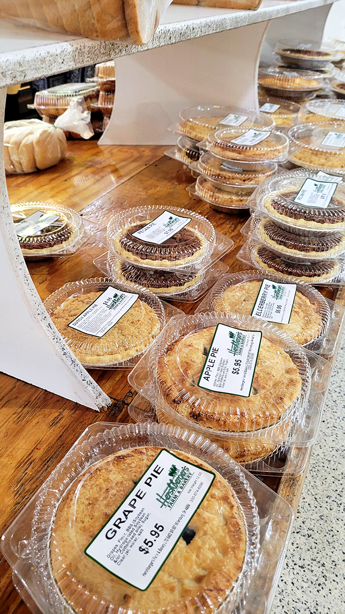 These pies aren't just desserts; they're edible time machines to your grandmother's kitchen. Each one practically whispers, "Diet? What diet?"