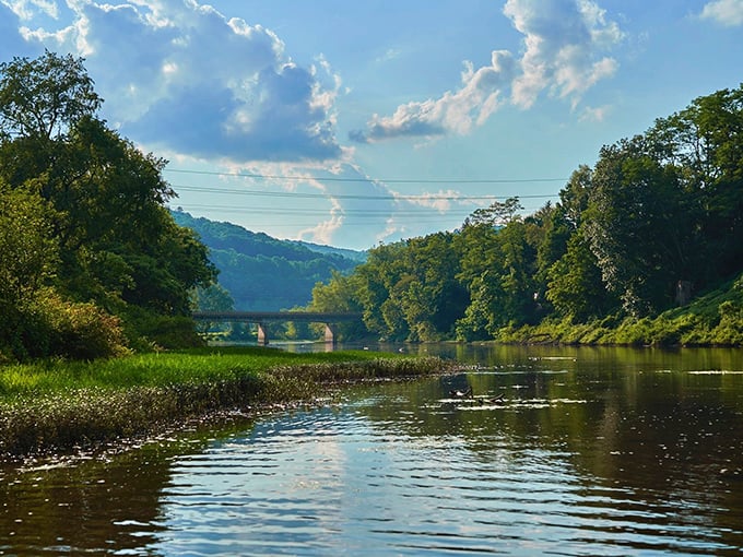 Where the Allegheny River meets morning mist &ndash; nature's own masterpiece that no filter could possibly improve.