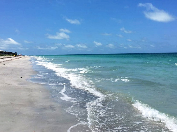 Crystal clear waters meet powdery white sand at Belleair Beach, where the shoreline seems to stretch forever.