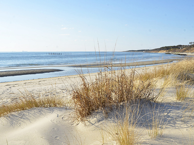 Sandy serenity where the Atlantic whispers sweet nothings to the shore. This beach makes "do nothing" feel like an accomplishment.