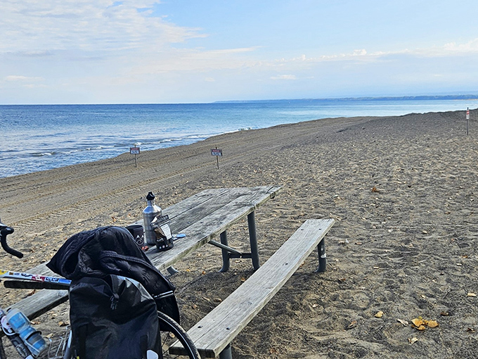 Another beachside bench where countless love stories began, or at least some really good sandwiches were eaten.