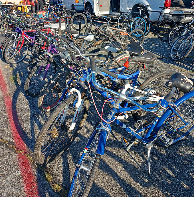 Bicycle heaven for wheel enthusiasts! These vintage rides aren't just transportation&mdash;they're time machines waiting to cruise down memory lane.