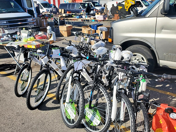 Bicycle heaven for the budget-conscious rider. Who needs a car payment when you can pedal away on these two-wheeled bargains?