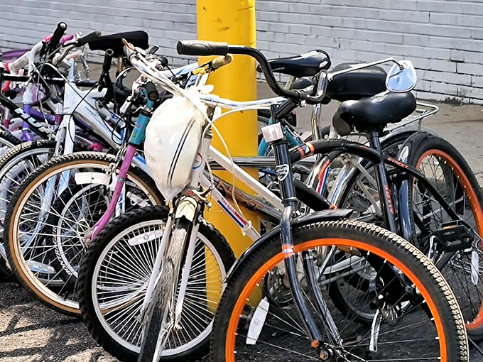 Bicycle graveyard or two-wheeled opportunity? These vintage rides are just waiting for someone to pedal them back to life.
