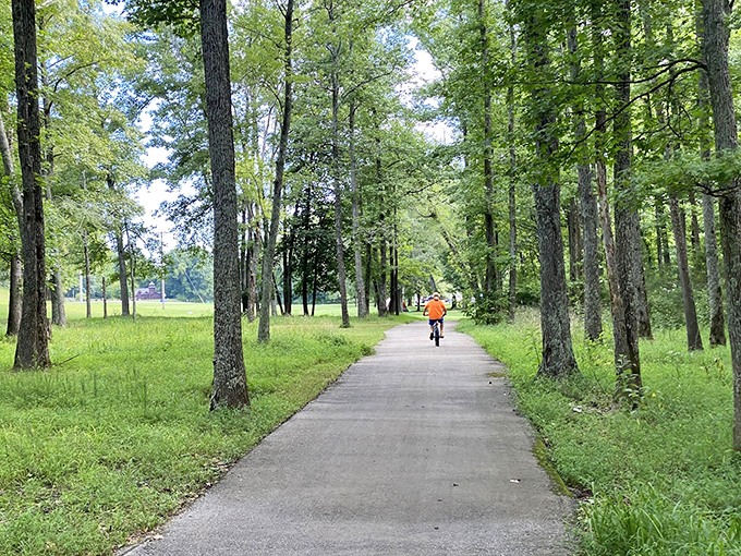 The park's paved trails offer a gentle ride through cathedral-like forests. Perfect for cyclists who prefer their wilderness experiences with minimal chance of becoming bear snacks.