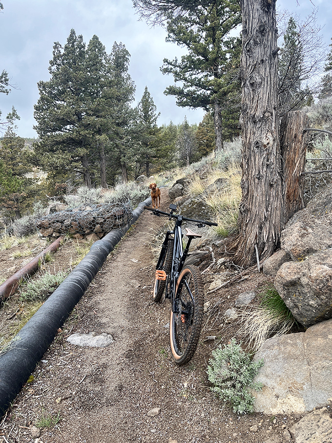 Where trail meets rail: The Bizz Johnson Trail offers outdoor adventure without the premium pricing of Tahoe's famous paths.