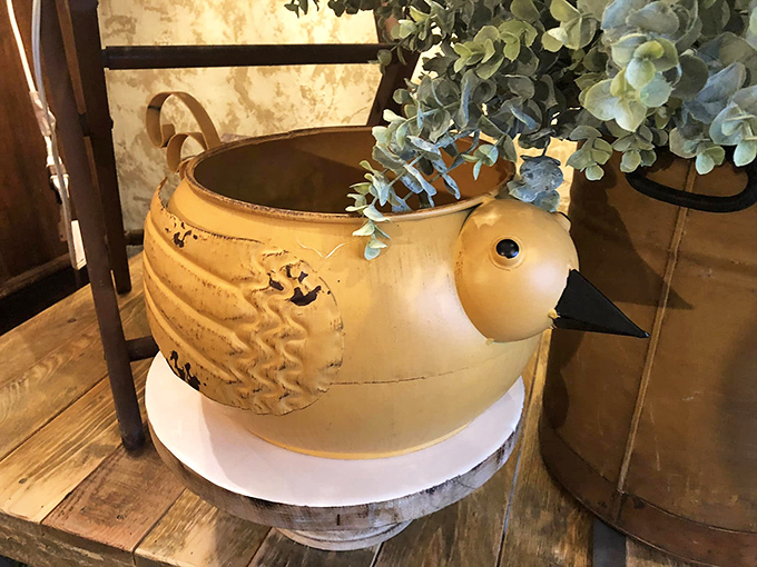 Not just a planter, but a conversation piece! This whimsical bird vessel proves that even your houseplants deserve accommodations with personality.