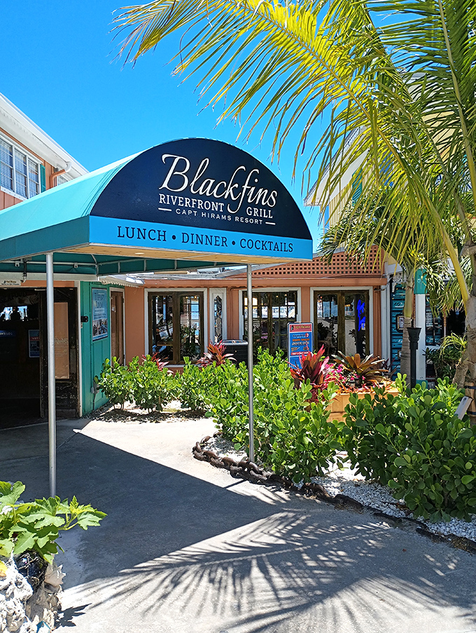 Blackfins at Captain Hiram's Resort offers that perfect Florida moment&mdash;palm fronds swaying overhead while you contemplate whether to order seafood or more seafood.