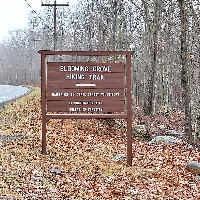 The Blooming Grove Hiking Trail sign stands as nature's invitation card. Adventure awaits just beyond that wooden arrow.