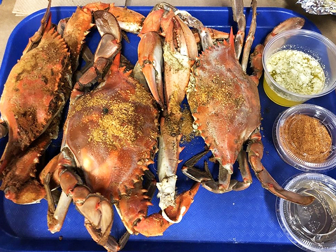 Behold the stars of the show: steamed blue crabs dusted generously with Old Bay. These beautiful specimens are what Maryland dreams are made of.