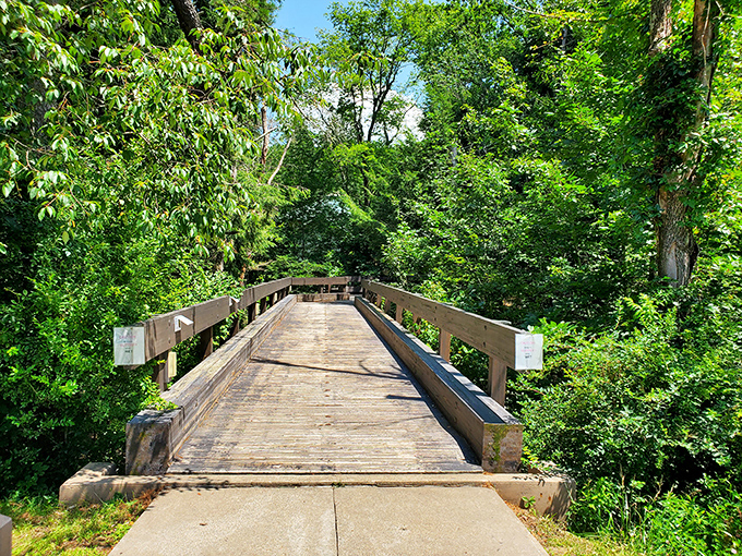 Summer's green tunnel invites exploration across this sun-dappled wooden bridge. The path ahead whispers promises of discoveries just around the bend.