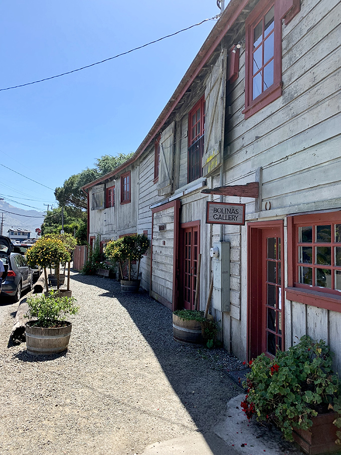 Weathered wood and red trim tell stories at the Bolinas Gallery – where art and history share the same weatherbeaten walls.