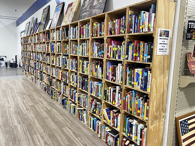 The book section rivals small-town libraries, offering literary journeys from well-loved paperbacks to hardcover gems waiting for their second chapter in life.