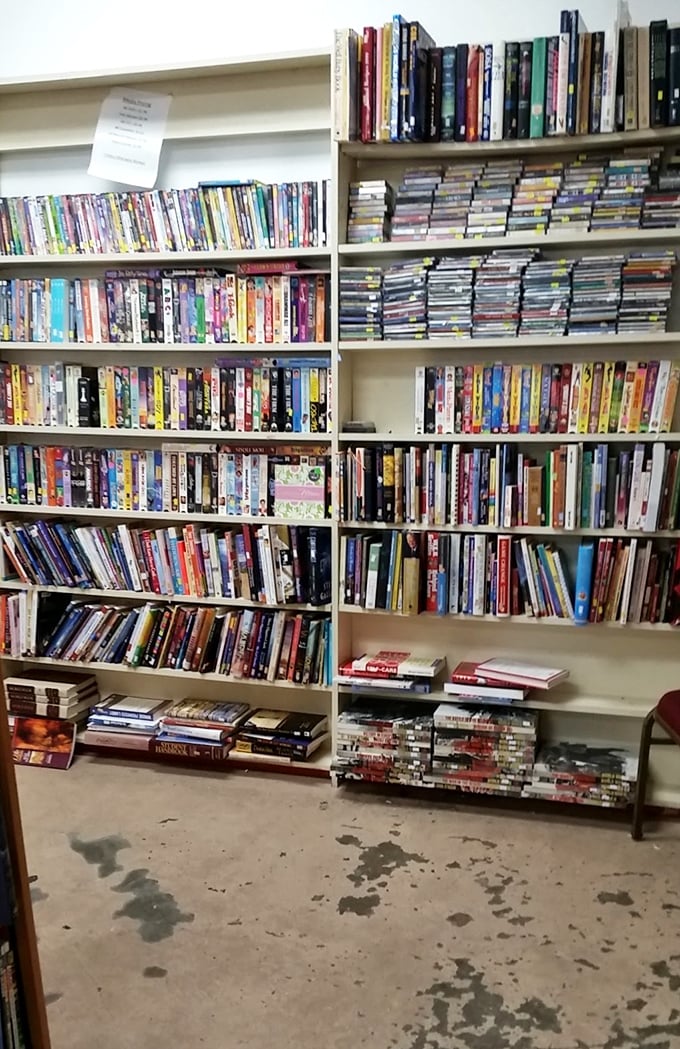 Literary gold mines don't require a pickaxe—just patience. This impressive collection of books and DVDs offers entertainment for pennies on the dollar.