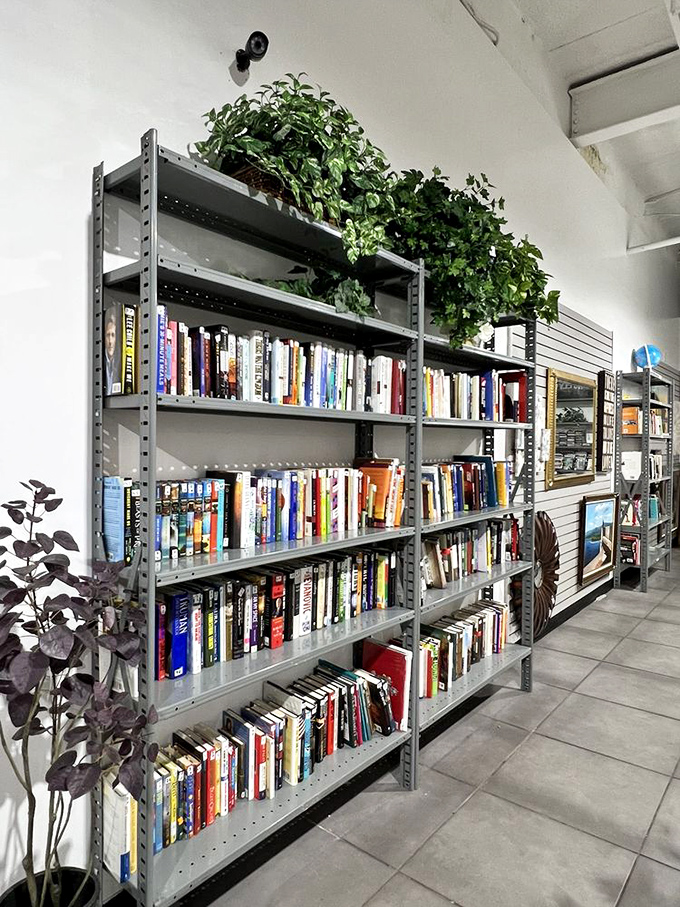 Books and artificial plants share shelf space, offering both literary journeys and greenery that won't die when you forget to water it.