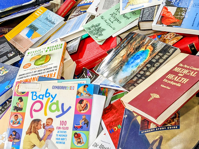 Literary gold mines await the patient digger. From bestsellers to obscure treasures, these book bins offer knowledge by the pound.