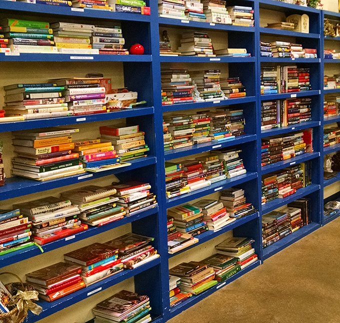 Literary heaven for the budget-conscious bookworm. Those blue shelves contain everything from forgotten bestsellers to that cookbook your grandmother swore by.
