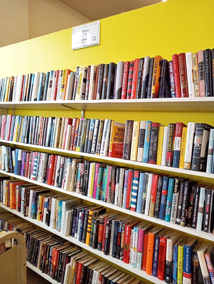 Literary treasures stacked spine-to-spine&mdash;from forgotten bestsellers to timeless classics&mdash;all patiently waiting for their next reader to discover them for less than a coffee.