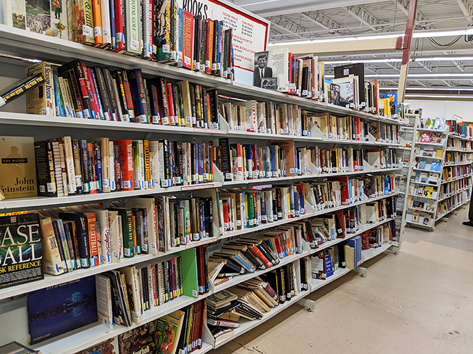 Literary treasures stacked floor to ceiling &ndash; from forgotten bestsellers to quirky cookbooks. Every book has a story beyond its pages.