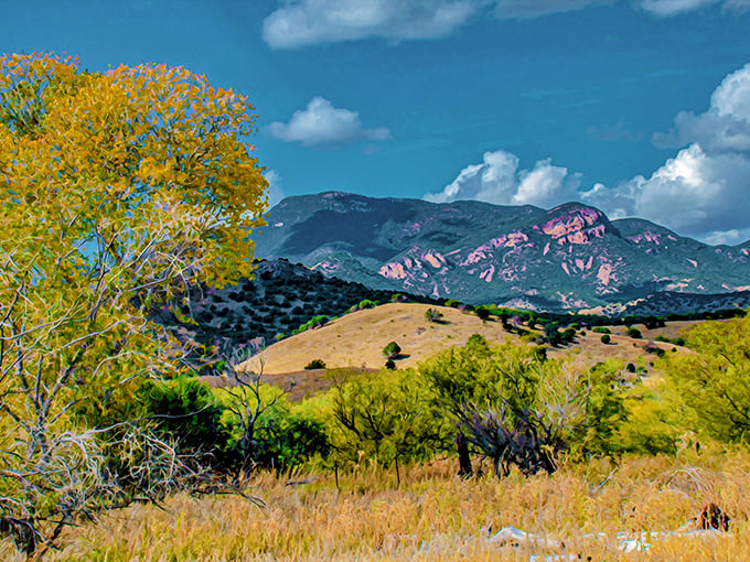 The Huachuca Mountains create a stunning backdrop that residents wake up to every morning&mdash;nature's version of million-dollar artwork that comes free with the view.