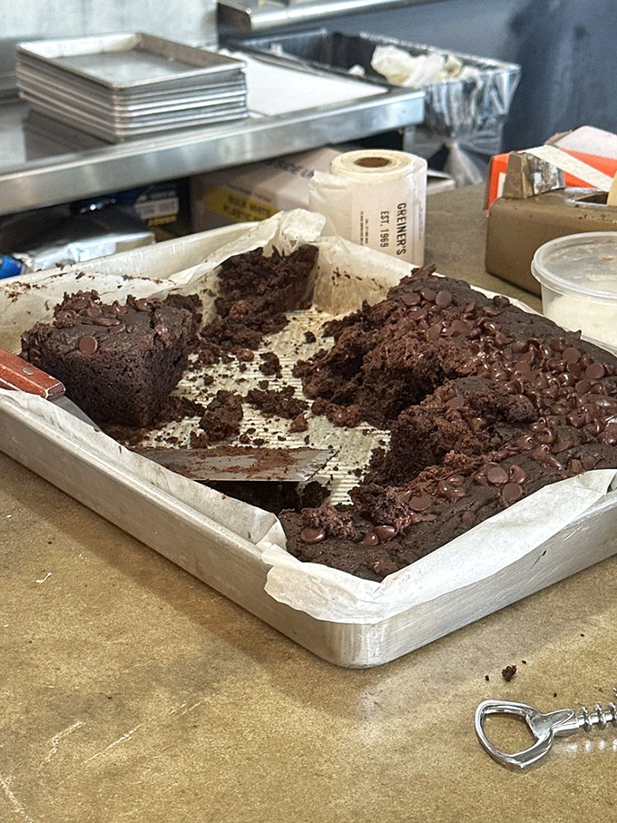 Behold the brownie motherlode! Dense, fudgy squares with chocolate chips scattered like treasures&mdash;this is why you came.