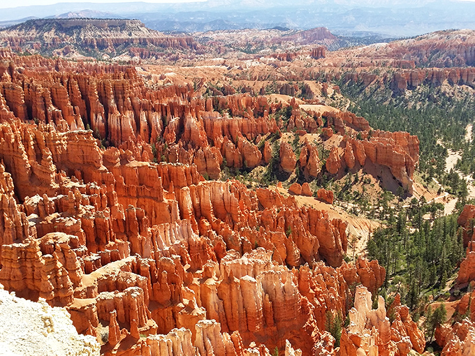 Nature's own sculpture garden at nearby Bryce Canyon. Those hoodoos look like what happens when Mother Nature decides to play with clay.