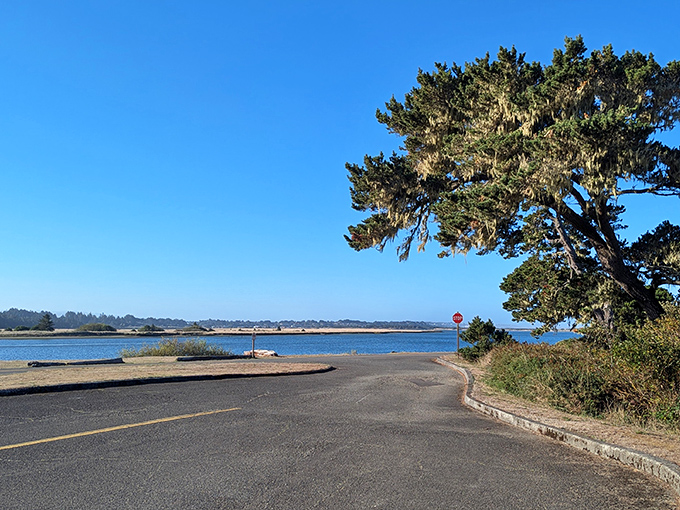 The road to paradise doesn't need billboards &ndash; just this perfect curve of asphalt leading to Bandon's breathtaking waterfront views.