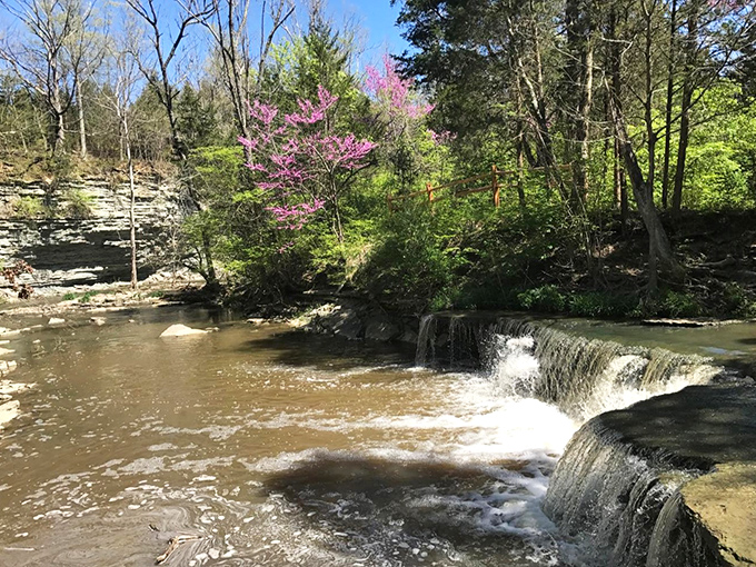 Caesar Creek's waterfall performs its daily show, no tickets required, just Mother Nature showing off her handiwork again.