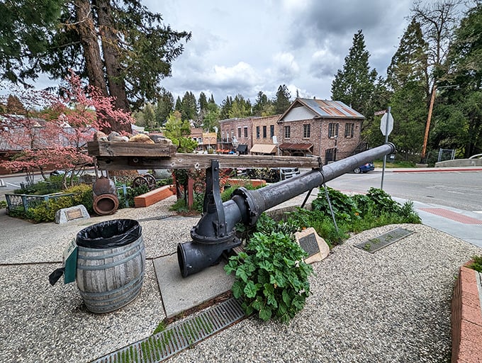 This isn't just an old cannon – it's a selfie magnet that's witnessed more history than your high school textbook ever covered.