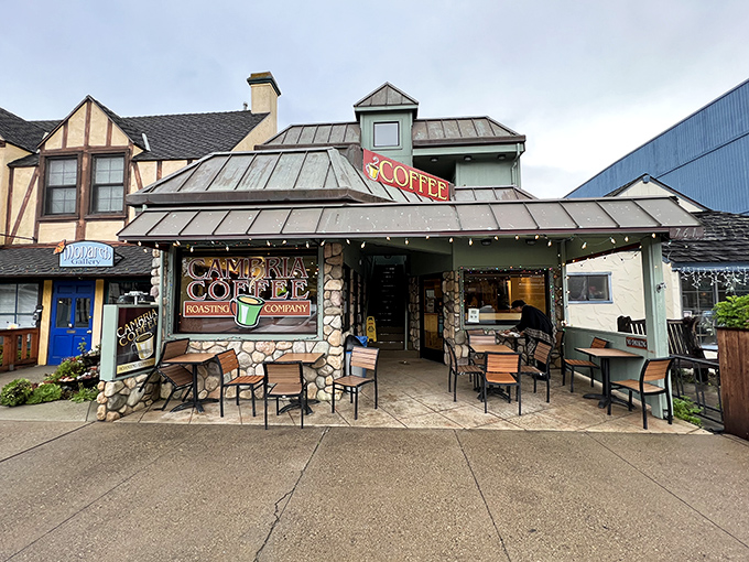 Cambria Coffee Roasting Company isn't just a caffeine fix&mdash;it's where morning philosophers gather to solve the world's problems over expertly pulled espresso.