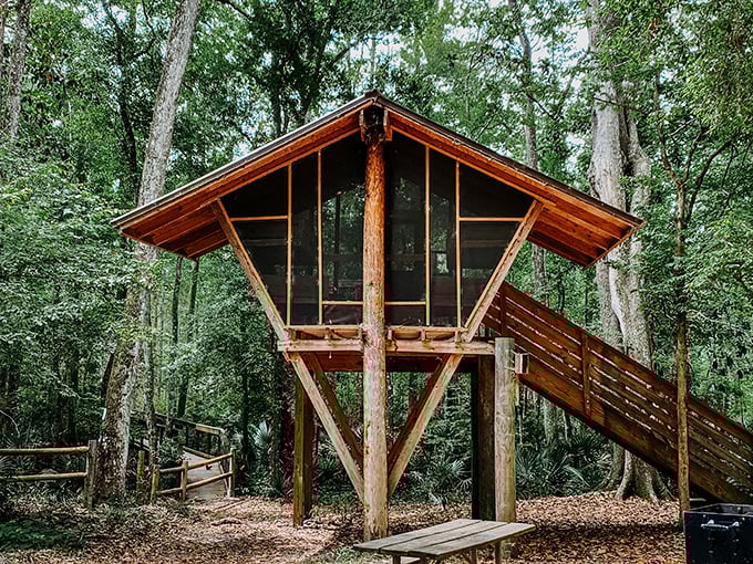This rustic treehouse at Camp Chowenwaw Park looks like something the Swiss Family Robinson would build if they retired to Florida on a fixed income.