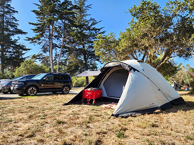 Camping under Capitola's towering trees offers nature's five-star accommodations: fresh air, birdsong wake-up calls, and zero chance of room service.