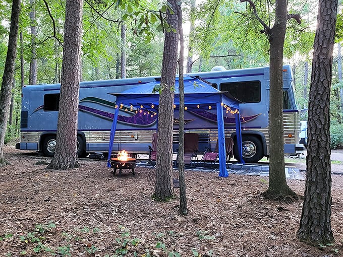 RV camping among the pines: where roughing it meets "I brought my satellite dish."
