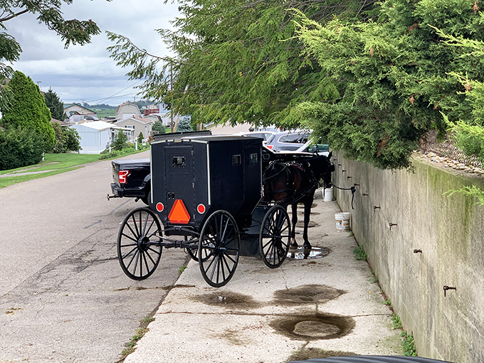 The iconic black Amish buggy&mdash;the original eco-friendly transportation&mdash;parked alongside modern vehicles in a perfect metaphor for Berlin's unique charm.