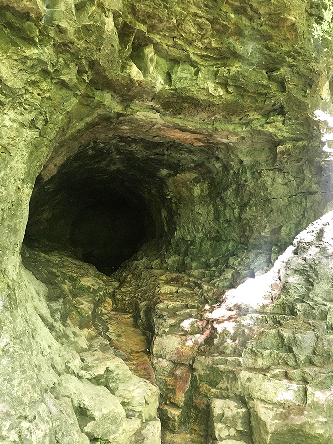 This mysterious cave opening looks like Mother Nature's secret doorway. Half expecting a hobbit to emerge or at least find where all those missing socks go.