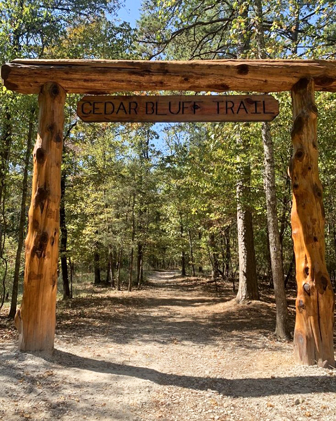 Cedar Bluff Trail beckons with its sun-dappled path. The only notification you'll get here is from your own sense of wonder. 