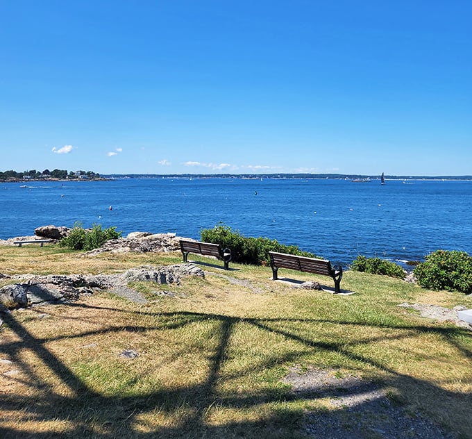 Nature's perfect viewing platform. Two benches, endless ocean, and the kind of breeze that makes you wonder why you ever lived inland.