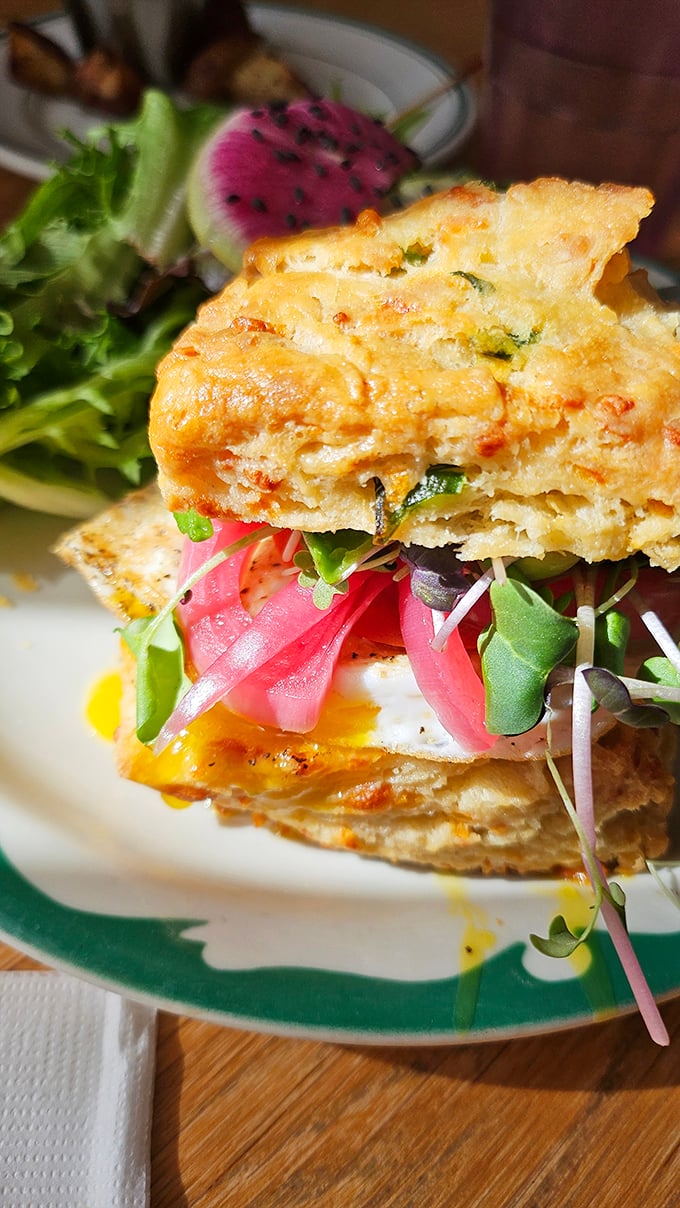 The legendary cheddar scallion biscuit sandwich in all its glory. Layers of flavor stacked between buttery, flaky perfection&mdash;worth every calorie.