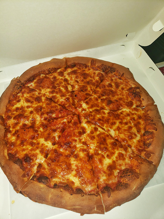 Behold the perfect cheese pizza&mdash;a golden disc of happiness with those little charred bubbles that pizza aficionados dream about. Simple perfection in a box.