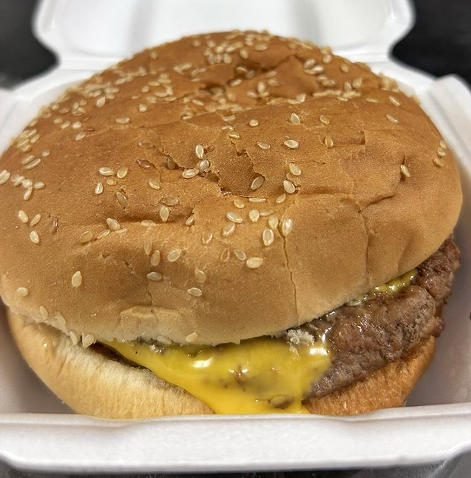 Behold the hero of our story: a perfectly grilled patty wearing its cheese like a melted golden crown. No filters needed for this kind of beauty.
