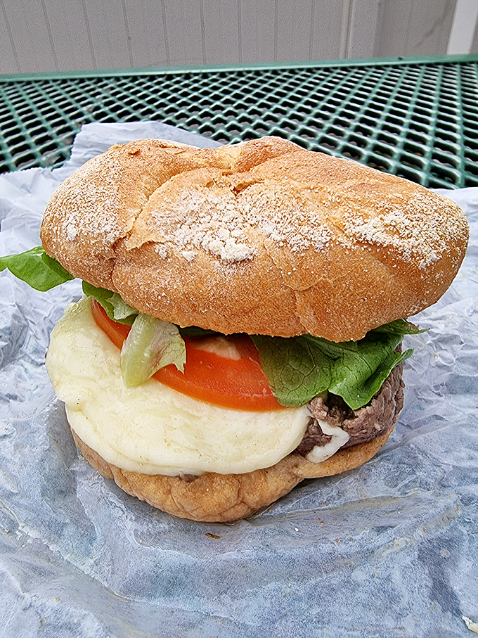 This isn't just a cheeseburger&mdash;it's a monument to melty magnificence that demands to be photographed before devoured.
