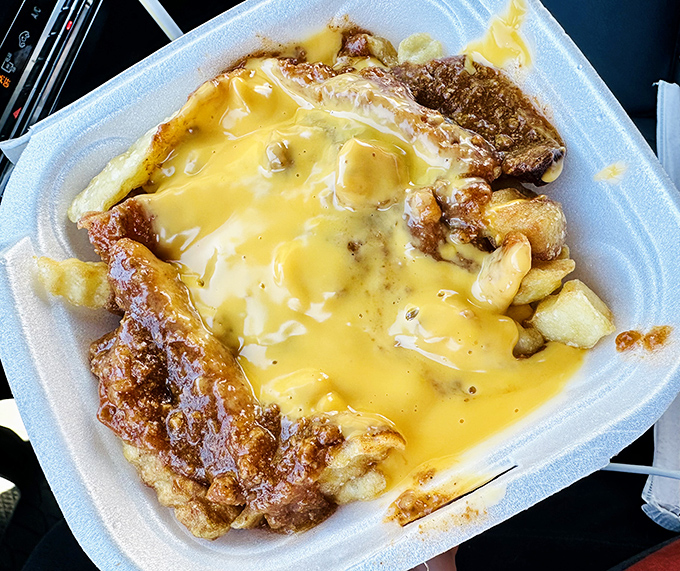 Behold the star attraction: chili cheese fries that don't just satisfy hunger—they solve existential crises one cheesy, meaty bite at a time.