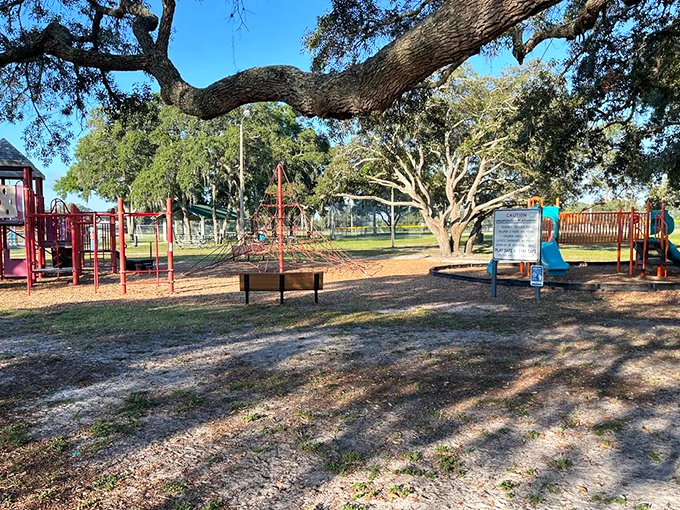 Local parks provide shady respite where generations gather, proving the best playground equipment might just be a magnificent oak tree.