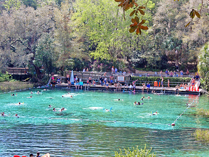 Crystal-clear Rainbow River waters invite swimmers to float in nature's own 72-degree air conditioning&mdash;a refreshment no country club pool can match.
