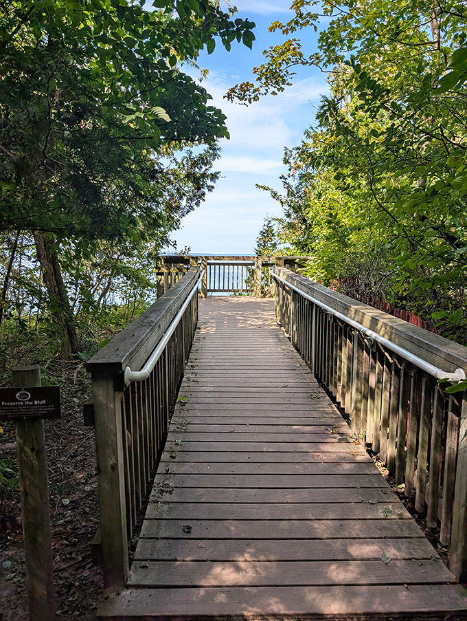 The wooden boardwalk at Clay Cliffs Natural Area promises a view at the end that's worth every step. Nature's reward system at work!