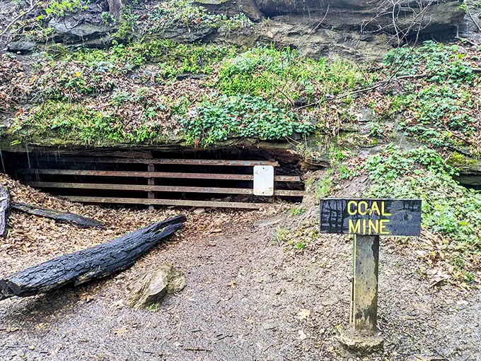 Indiana's coal mining history preserved in this humble entrance &ndash; less "canary in a coal mine" and more "history you can actually touch."